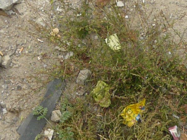 garbage on the ground texture 0005 - Texturelib